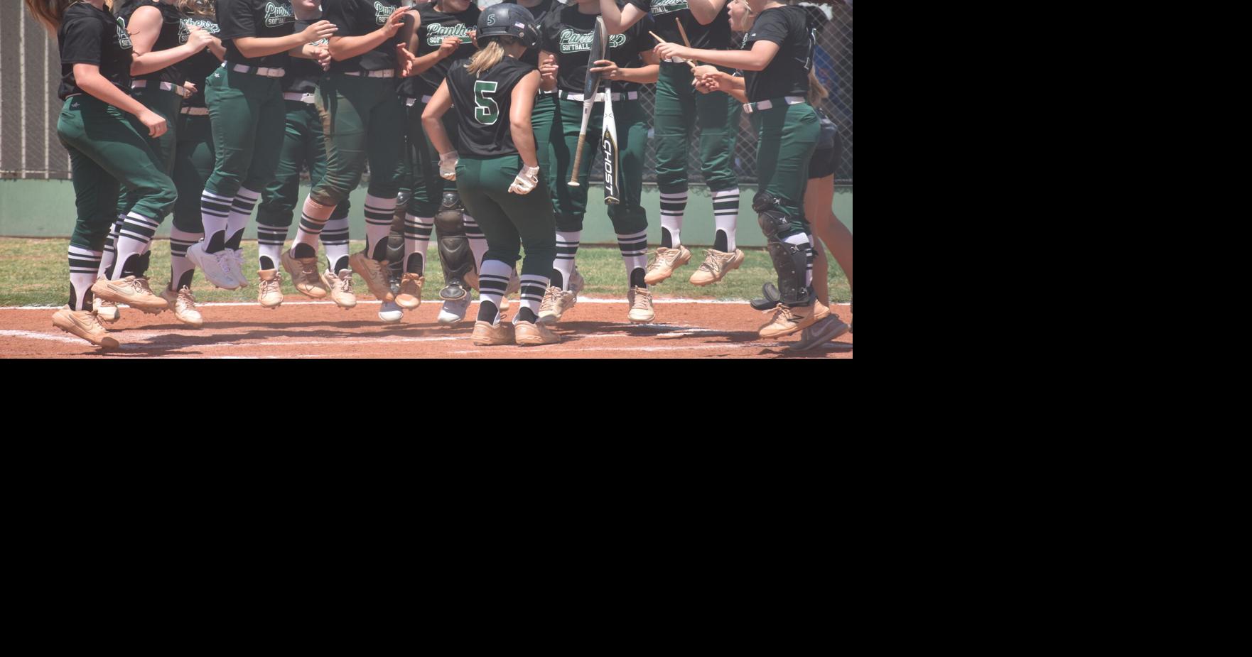 SOFTBALL: Am-Po dominates Fairview in district play | Sports ...