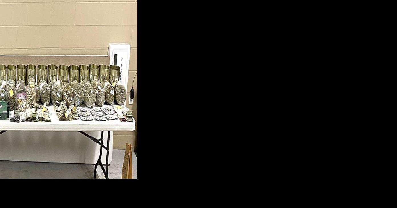 Sheriff's deputies seize $125,000 worth of pot and psilocybin mushrooms ...