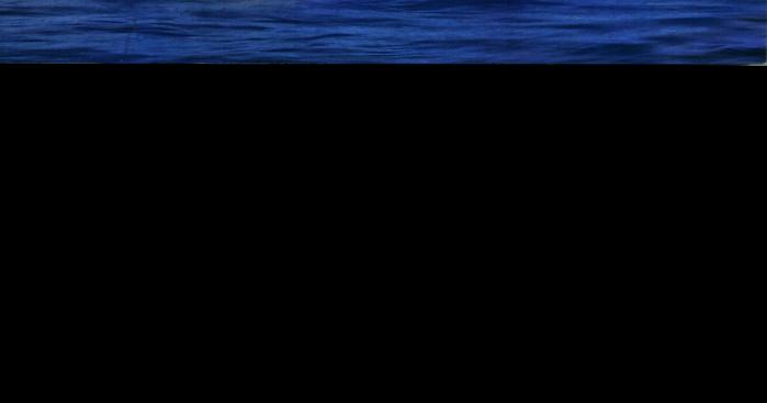 Missy Sippy River Saloon released in fourth printing