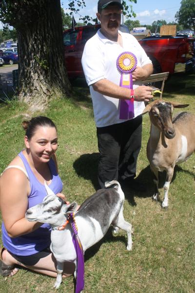 Champion goat earns third 'leg' at Northern Wisconsin State Fair