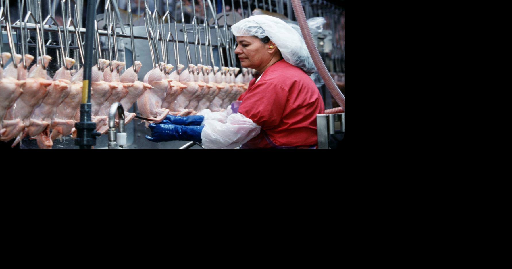 Poultry processing workers face injuries in Wisconsin, nationwide