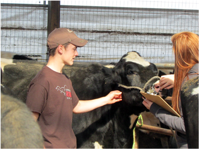 Bloomer takes the win at FFA Dairy Judging Contest