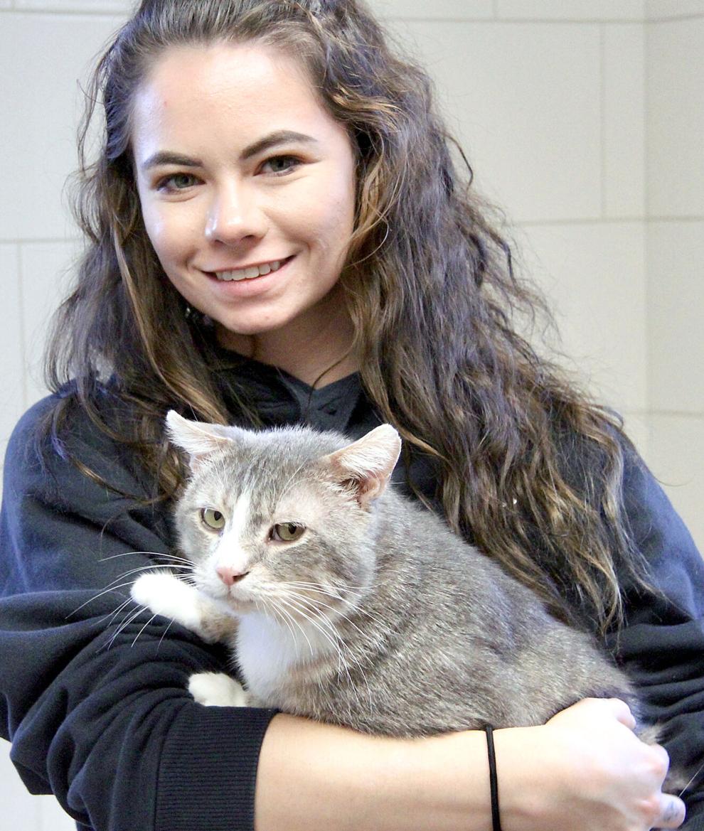 Chippewa Humane Association