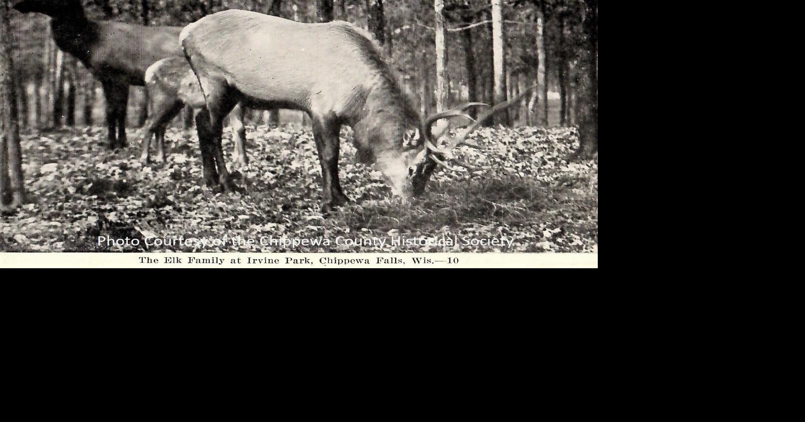 Time Capsule: The Elk Family of Irvine Park