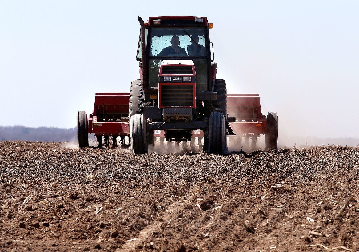 Alfalfa winterkill and injury: One more challenge for farmers to overcome