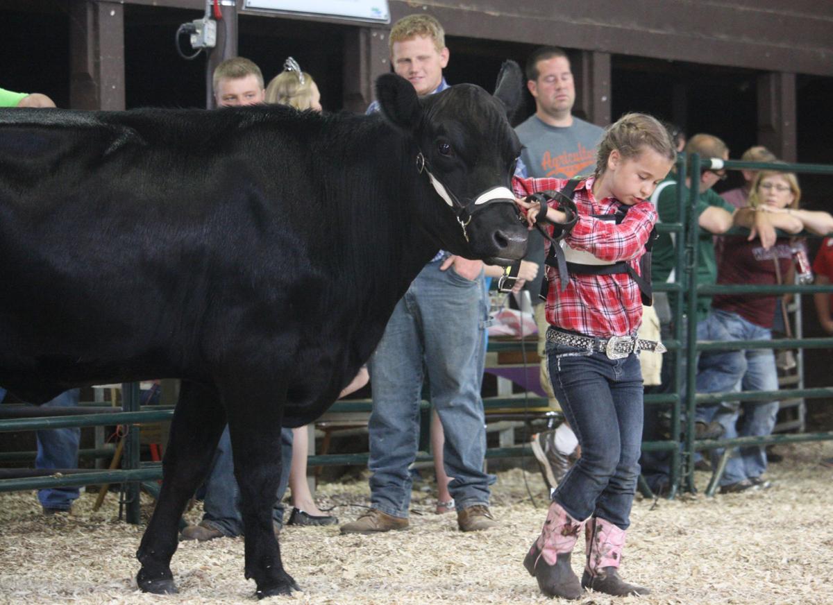 COMING UP: Parades, fairs and festivals in the Chippewa Falls region