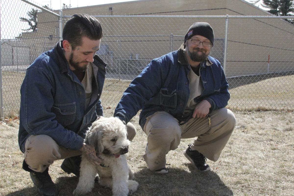 Wisconsin inmates get paired with dogs for training