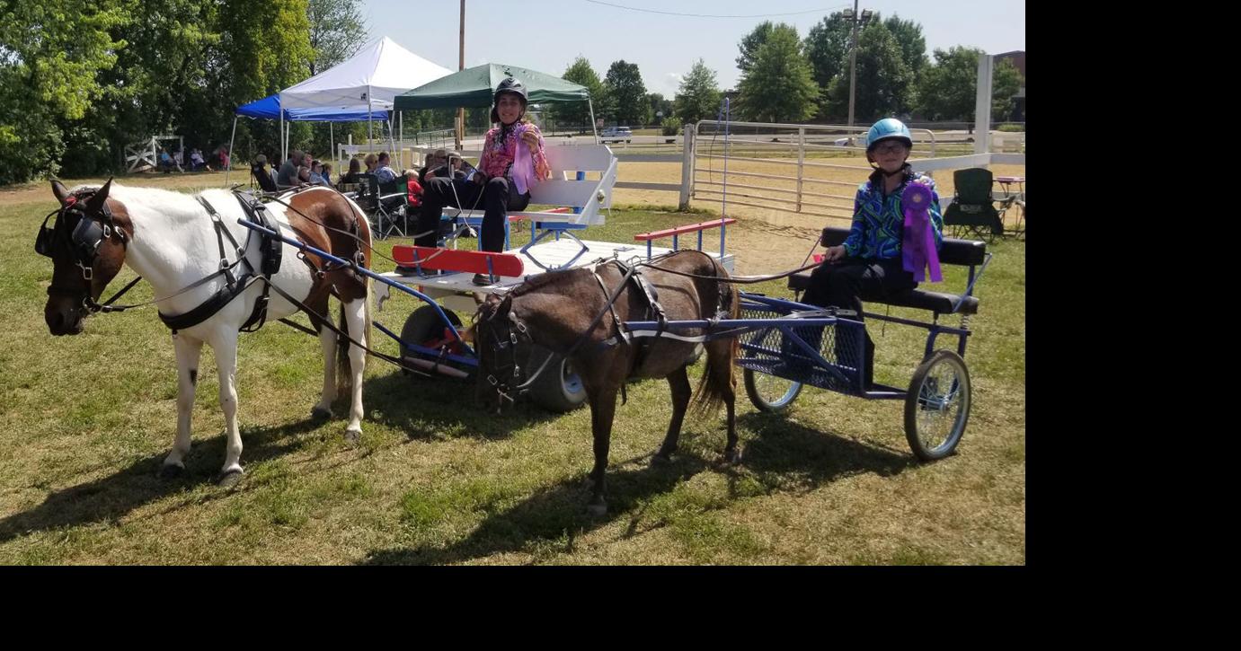 Meet the 2018 Dunn County Fair horse champions