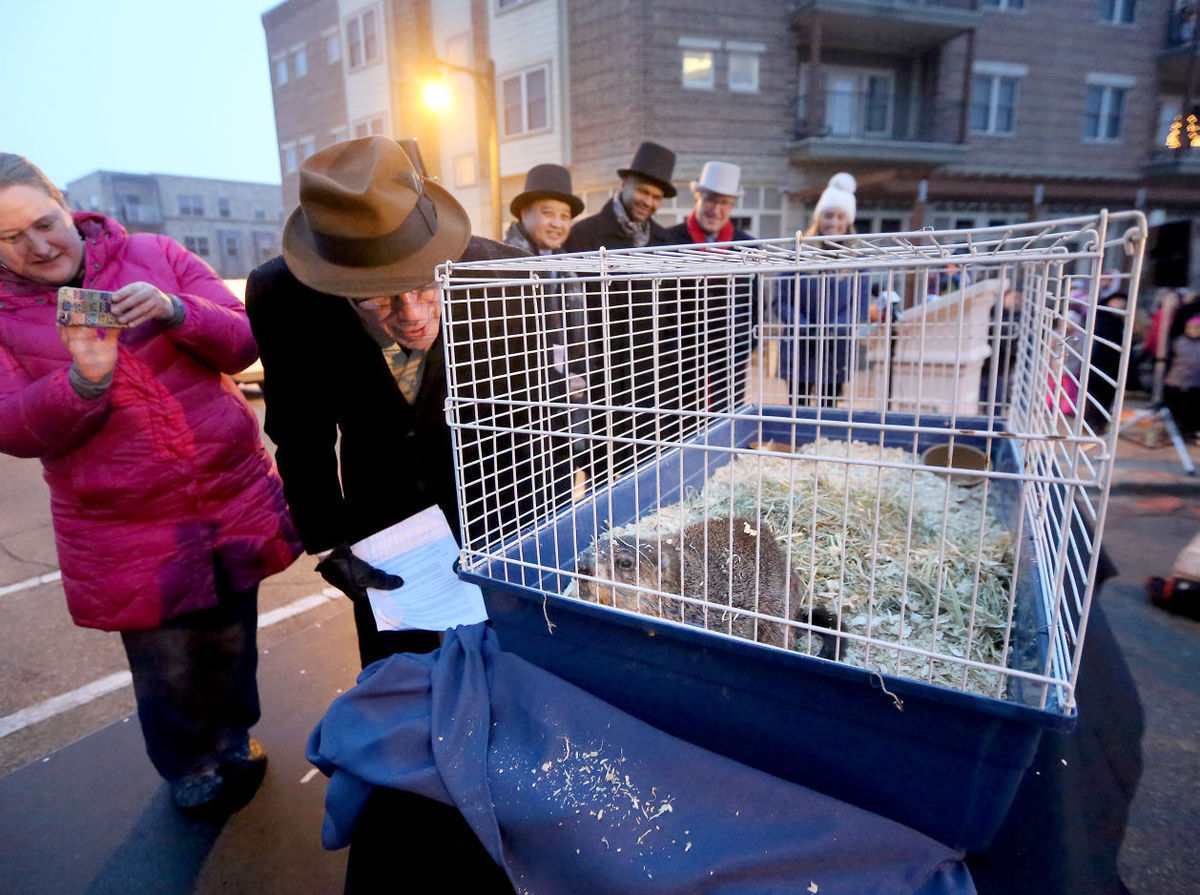 For some in Sun Prairie, caged Jimmy the Groundhog not the same