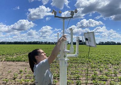 Crop Per Drop: UW-Stout students provide R&D for Chippewa Valley Bean