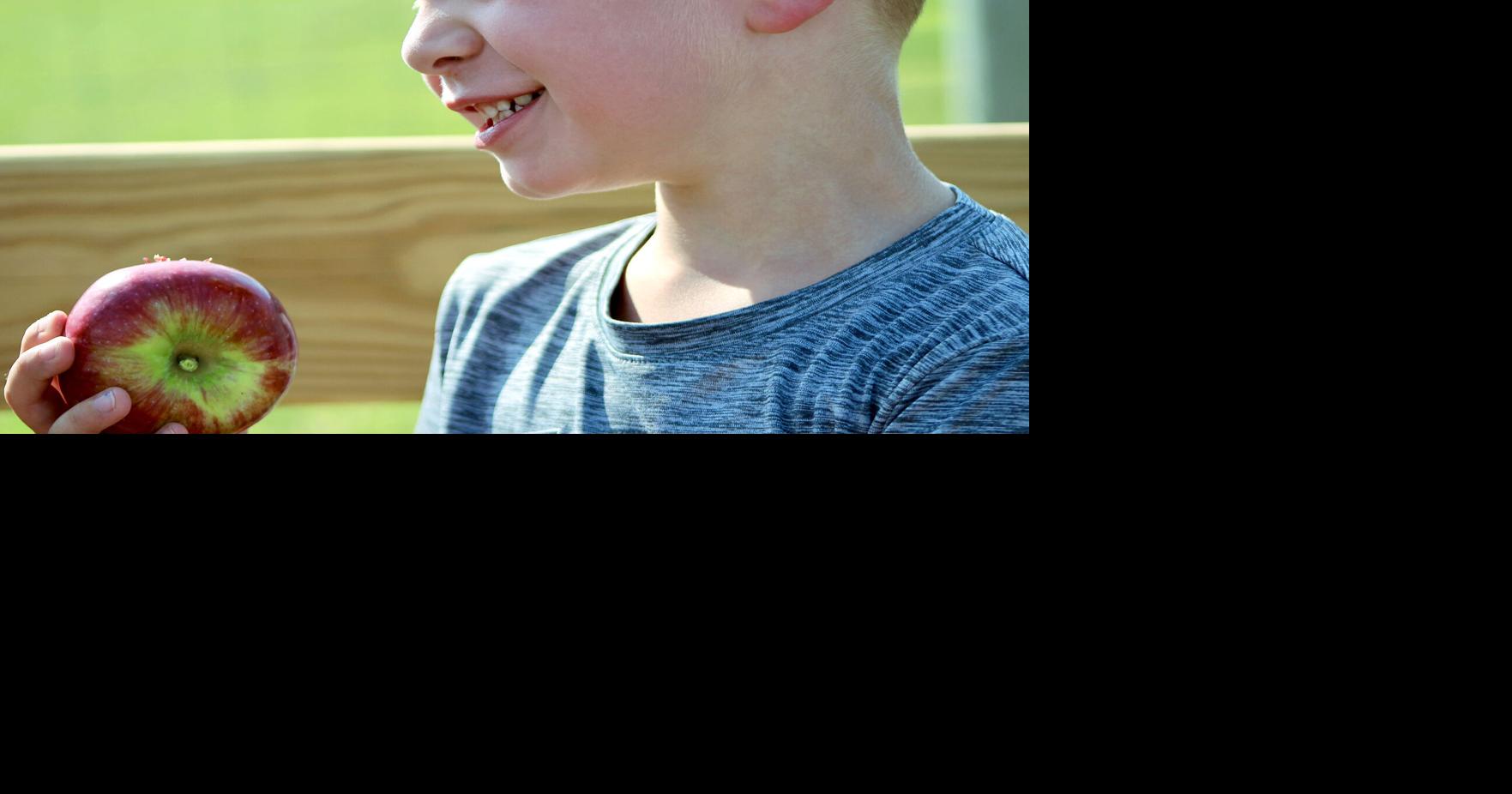 Geissler family returns to orchard farming in Chippewa Falls