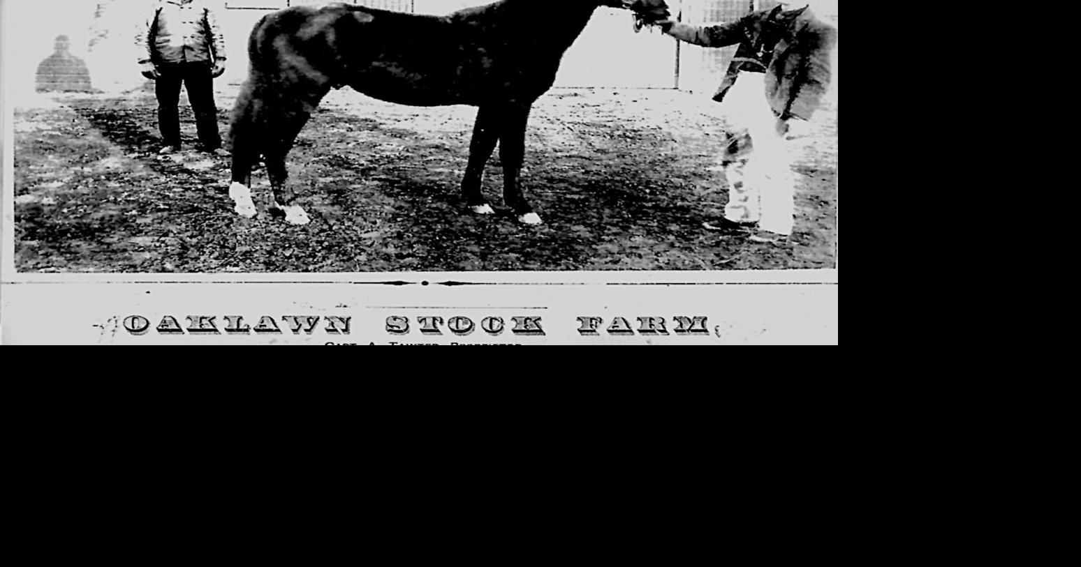 Scenes of yesteryear: Tainter kept stable of renowned racing steeds