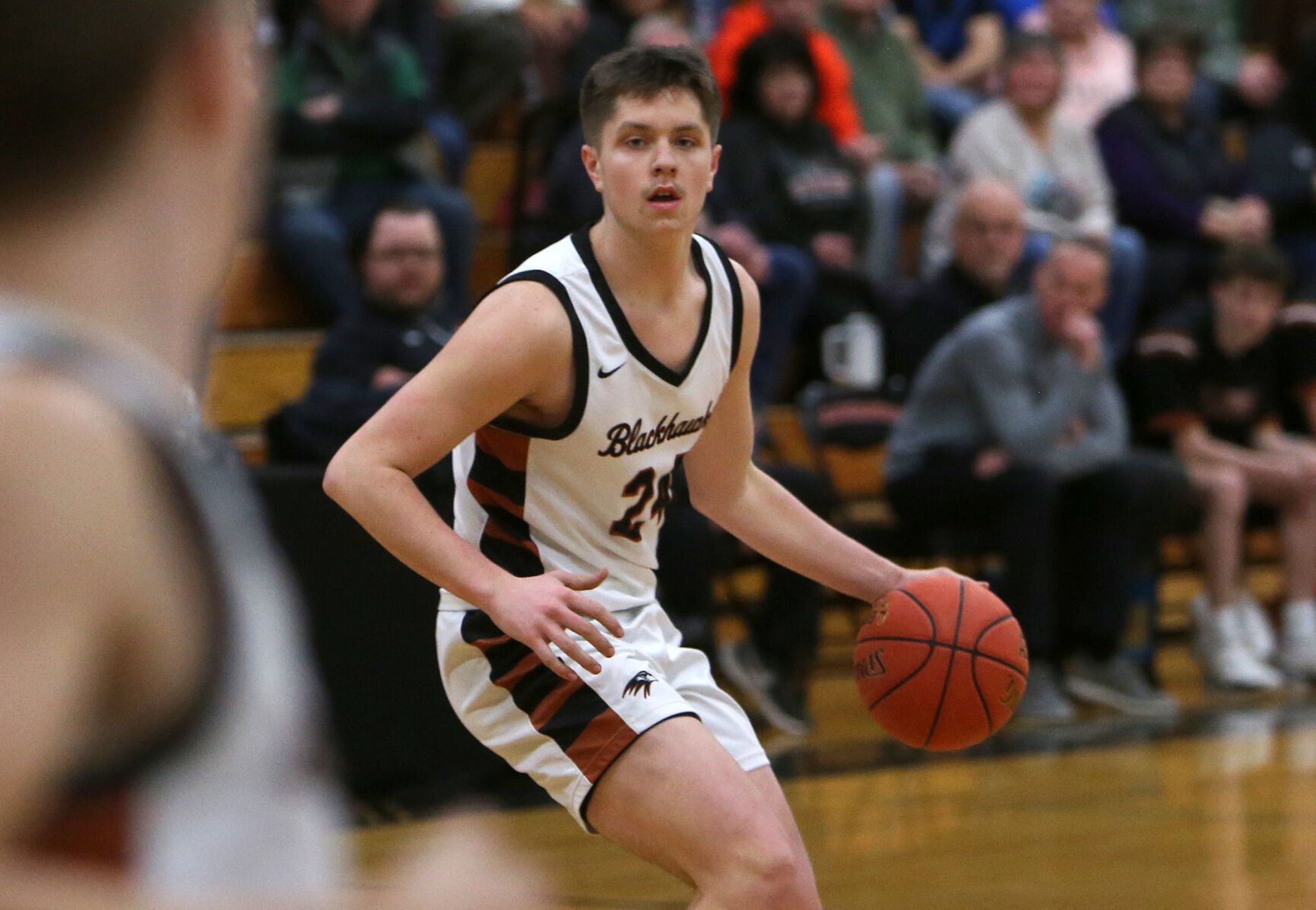 High School Boys Basketball: Fall Creek powers past Bloomer
