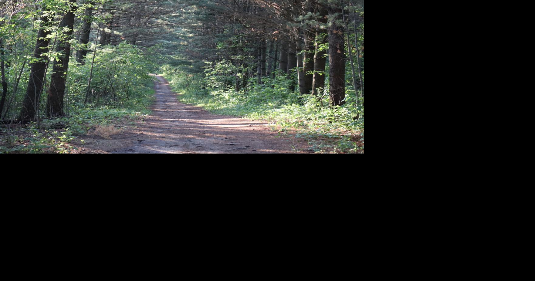 Deborah Locke, Minnesota DNR: The benefits of Minnesota state parks