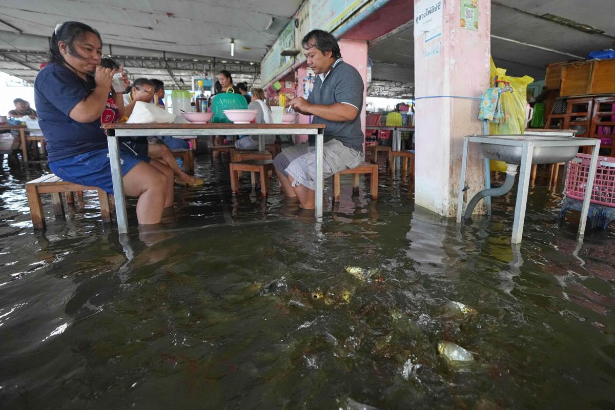 Flooded restaurant in Thailand brings delight with swimming fish among ...