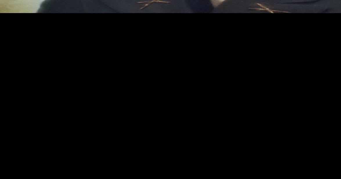 Lt. Colonel N. Michael Sarff