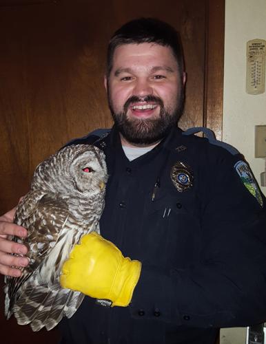 Hakes resigning as Elk Mound police chief