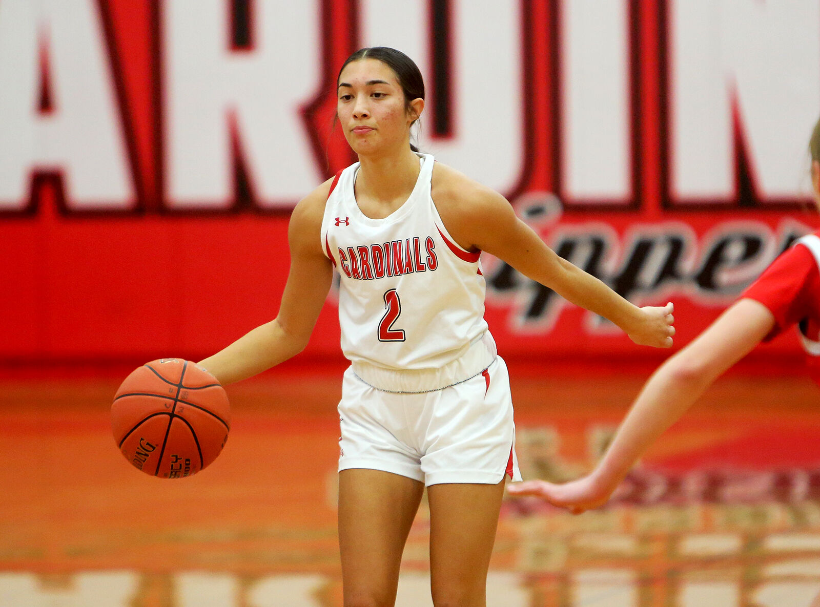IN PHOTOS: Chippewa Falls girls hoops hosts Wisconsin Rapids