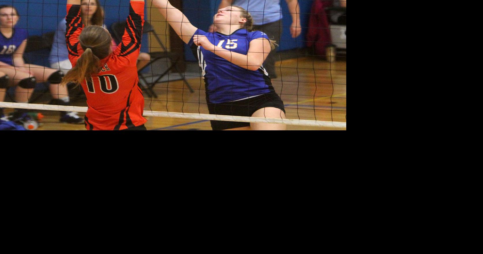 Deb Roesler Memorial Volleyball Tournament 9-10-16