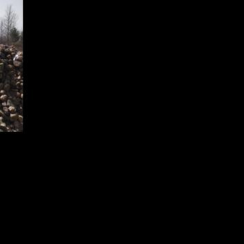 Dave Zien, Vietnam War veteran, former legislator, seeks rocks for tribute