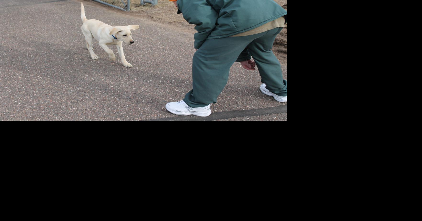 IN PHOTOS: Dog training by inmates in prisons