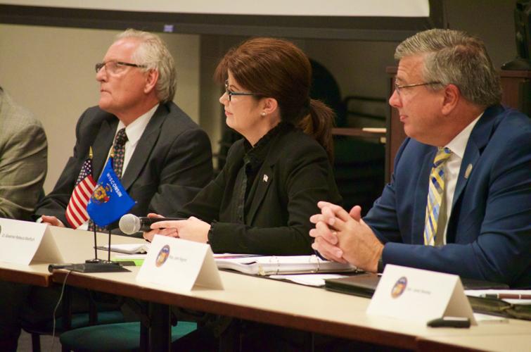 Wisconsin task force looks to fight opioid epidemic