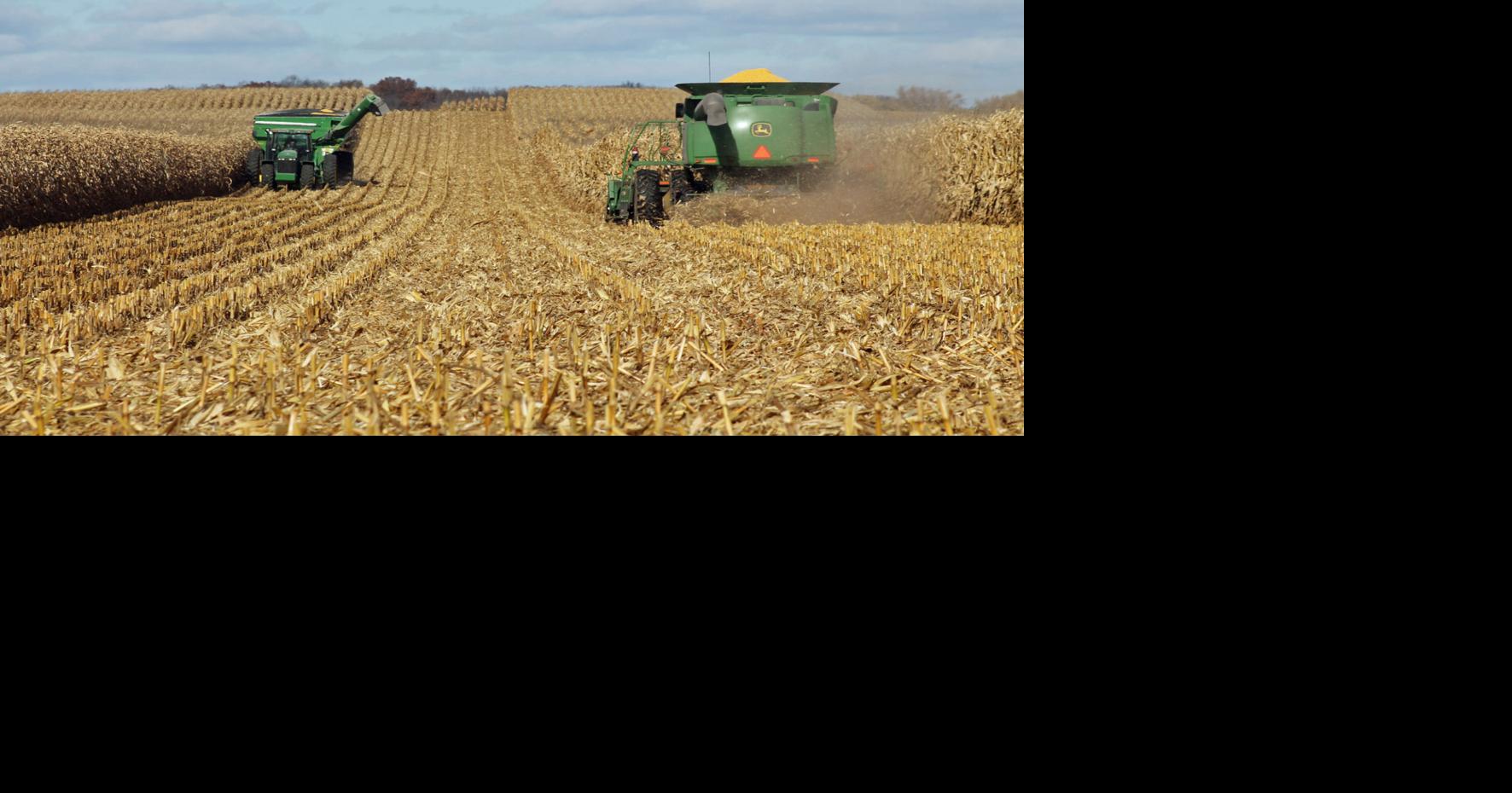 As ethanol cropland grew, carbon releases undercut climate goal, study says
