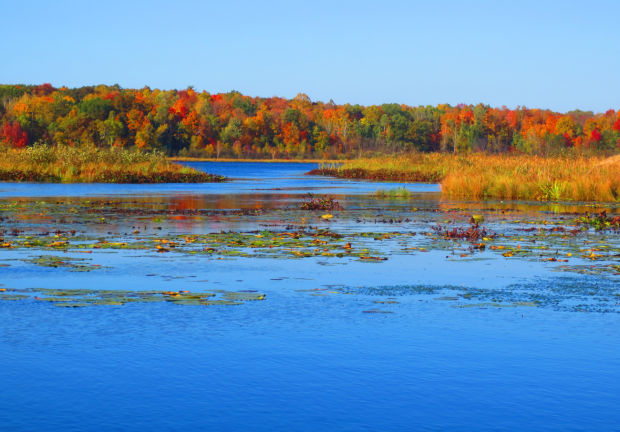 DNR funds, new Lake Wissota trailhead in works after forestry plan approved