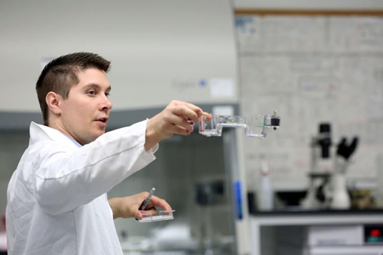 Stout stories: Paying it forward in the labs at UW-Stout