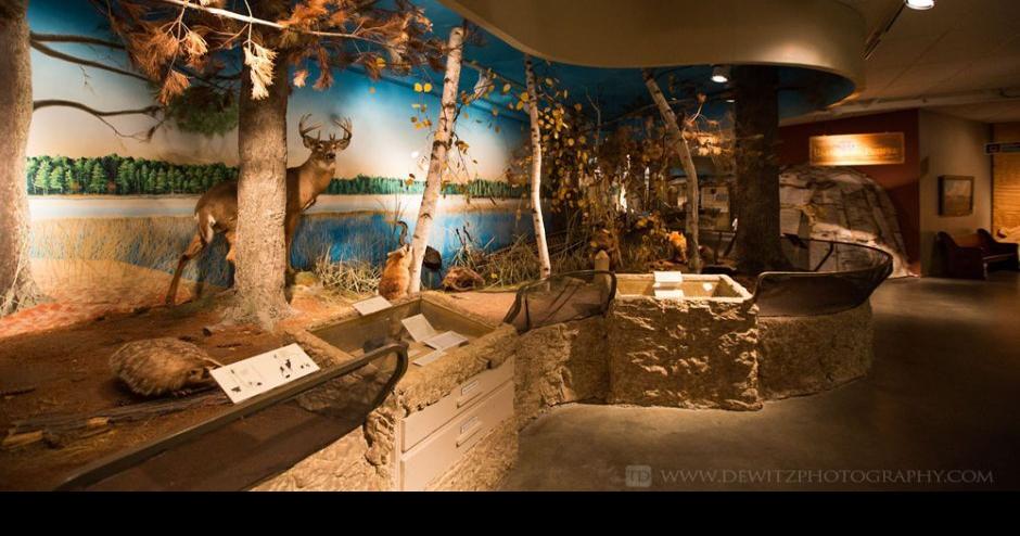 Chippewa Valley Museum postpones and adapts programs and exhibits ...