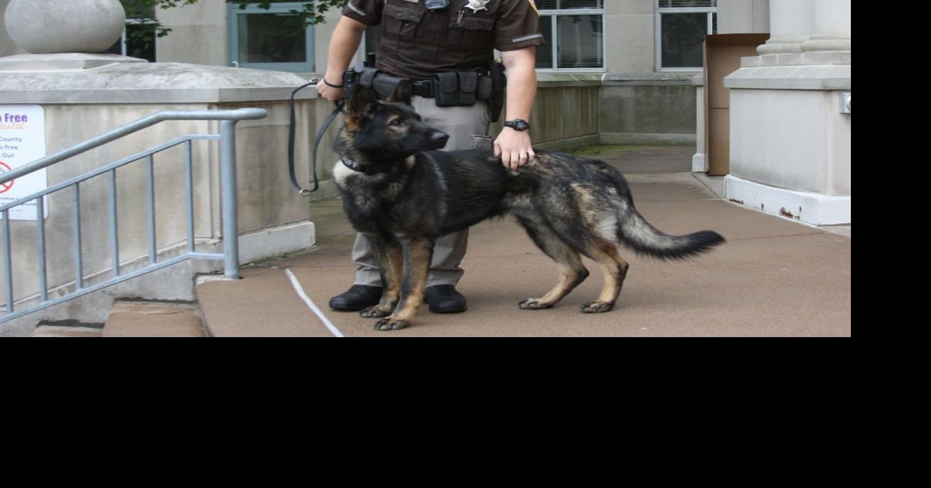 Meet Nero: Chippewa County Sheriff debuts first K9 officer