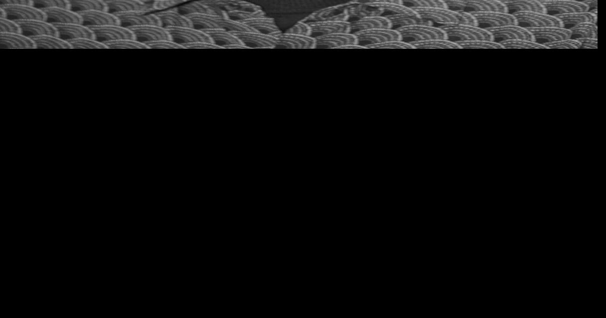 Mark Belling: Don’t shut down access to court records