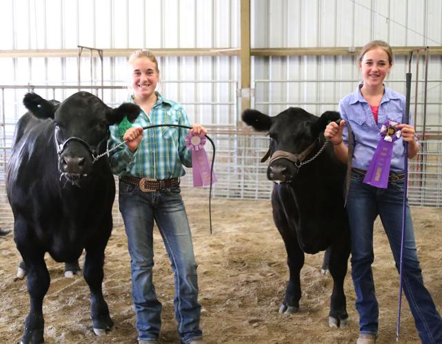 4-H animal showmanship | | choteauacantha.com