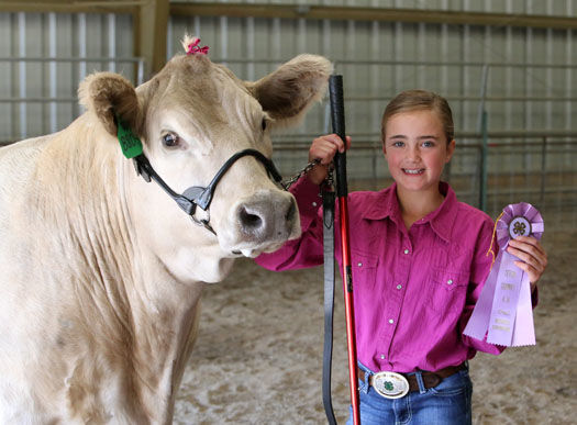 4-H Fair animals | | choteauacantha.com