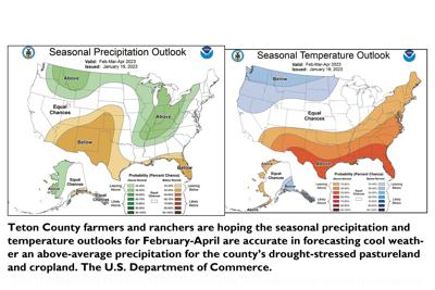 Above-average precip forecast | News | choteauacantha.com