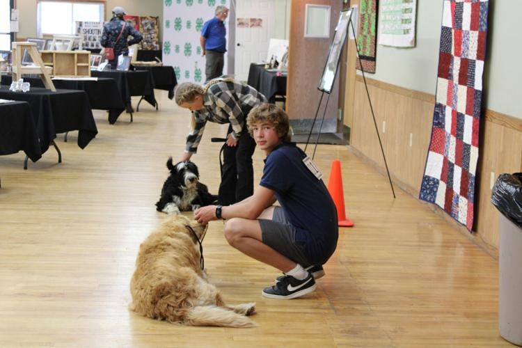 Teton County 4-H Dog Show and Rabbit & Poultry Show | News ...