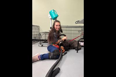 Peche opening "Scrub-a-Dub-Pup" grooming business | News ...