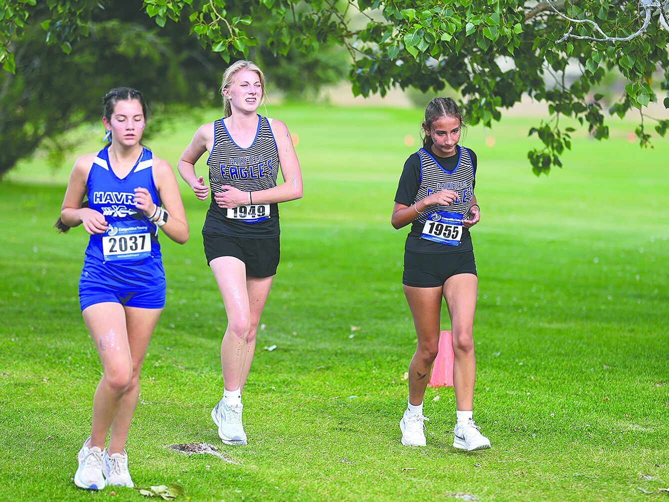 Fairfield/Choteau Cross Country at Cut Bank | | choteauacantha.com