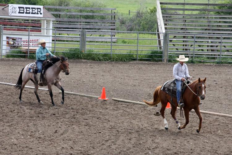 4-H Horse Show | | choteauacantha.com