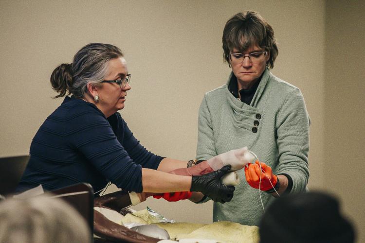 Over 100 Attend Calving Workshop | News | choteauacantha.com