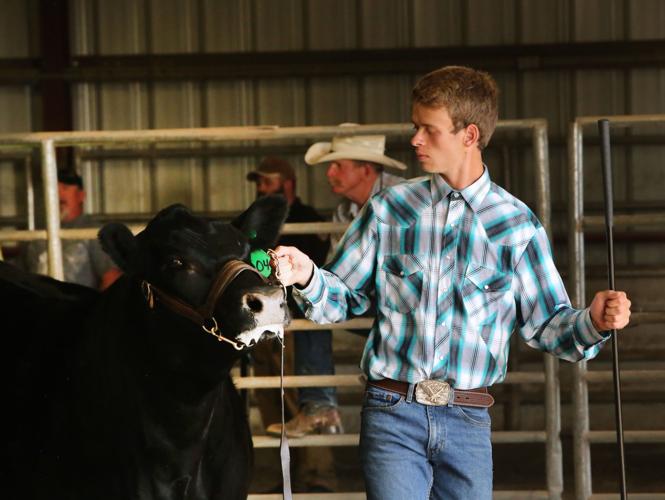 2020 Teton County 4H Fair Showmanship | | choteauacantha.com