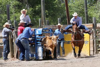 Augusta Rodeo this weekend | Sports | choteauacantha.com