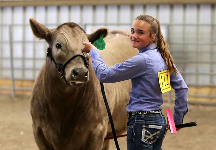 2020 Teton County 4H Fair Showmanship | | choteauacantha.com