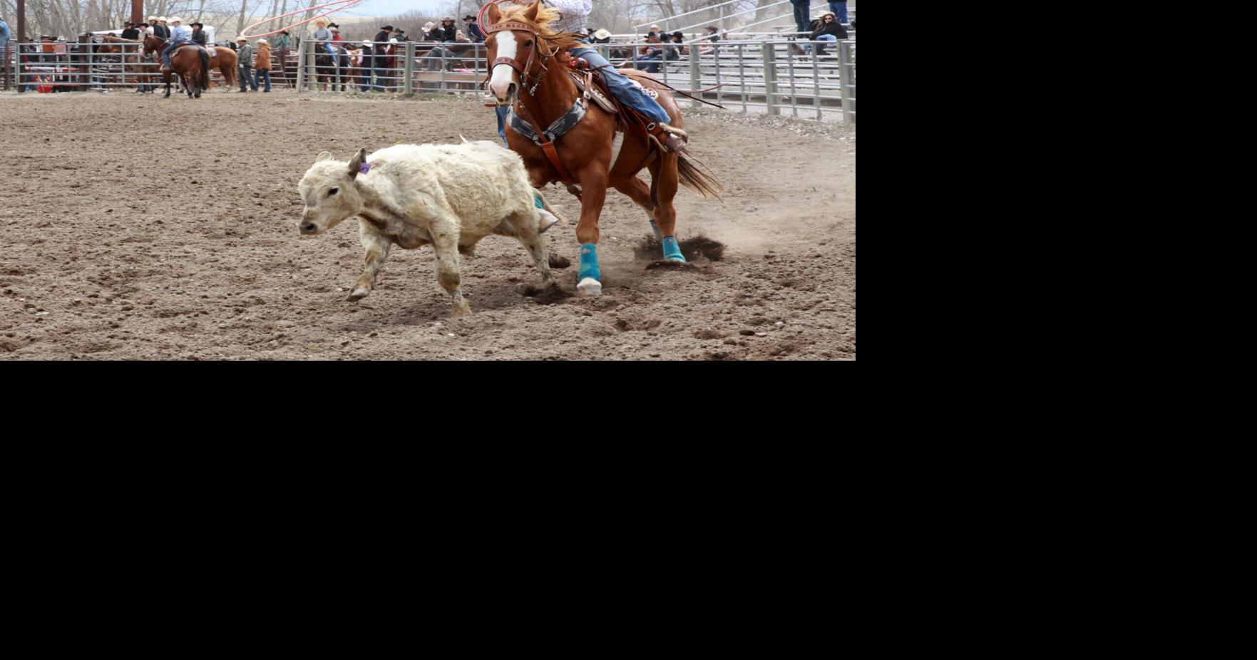 Montana High School Rodeo Association | | choteauacantha.com