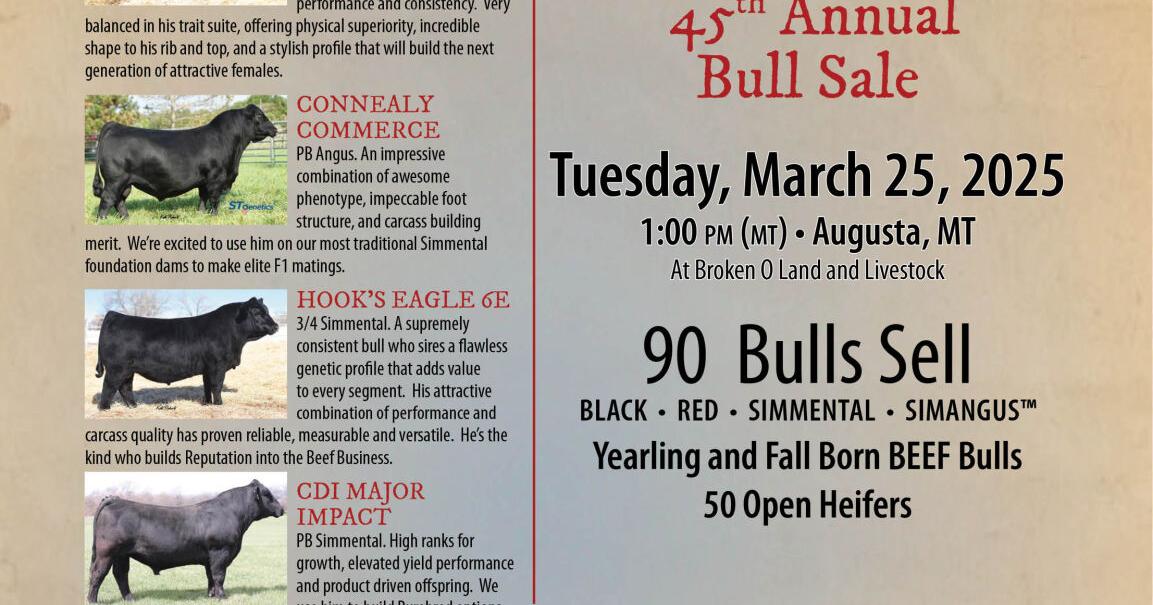 Open Gate Ranch Bull Sale | Calendar | choteauacantha.com
