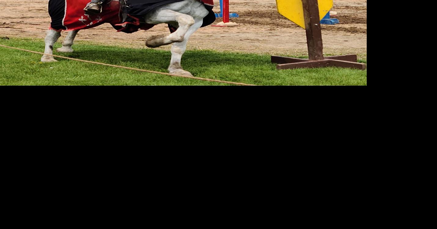 Viking Fest breaks food donation record again following large crowds ...