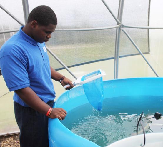 CJCF introduces aquaponics program | News | circlevilleherald.com