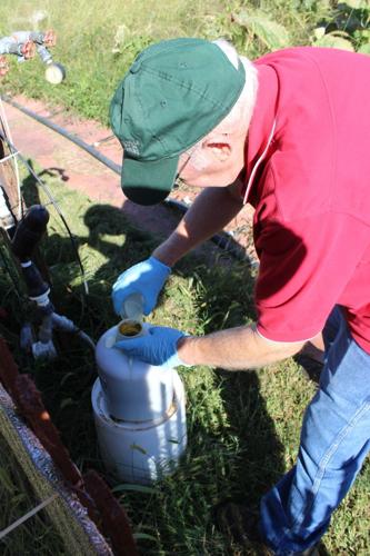 Giant pumpkin competitors readying for contest | News ...