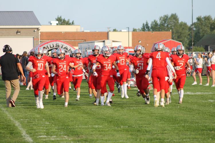 Logan Elm defeated a relentless Westfall football team Friday night ...