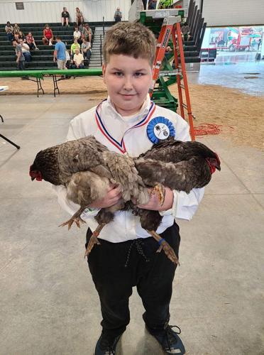 Pickaway County Fair | Community | circlevilleherald.com